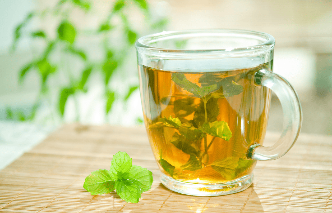 Does Trader Joe's Moroccan Mint Tea Have Caffeine? (Answered) - AisleWizard Does Trader Joe's Moroccan Mint Tea Have Caffeine? (Answered) - AisleWizard